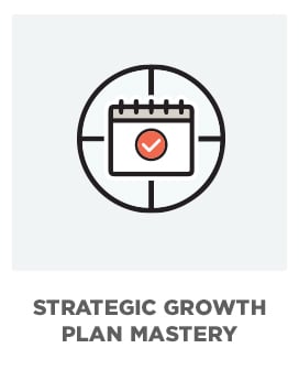 Growth Strategy Consulting to Optimize Business Value & Revenue